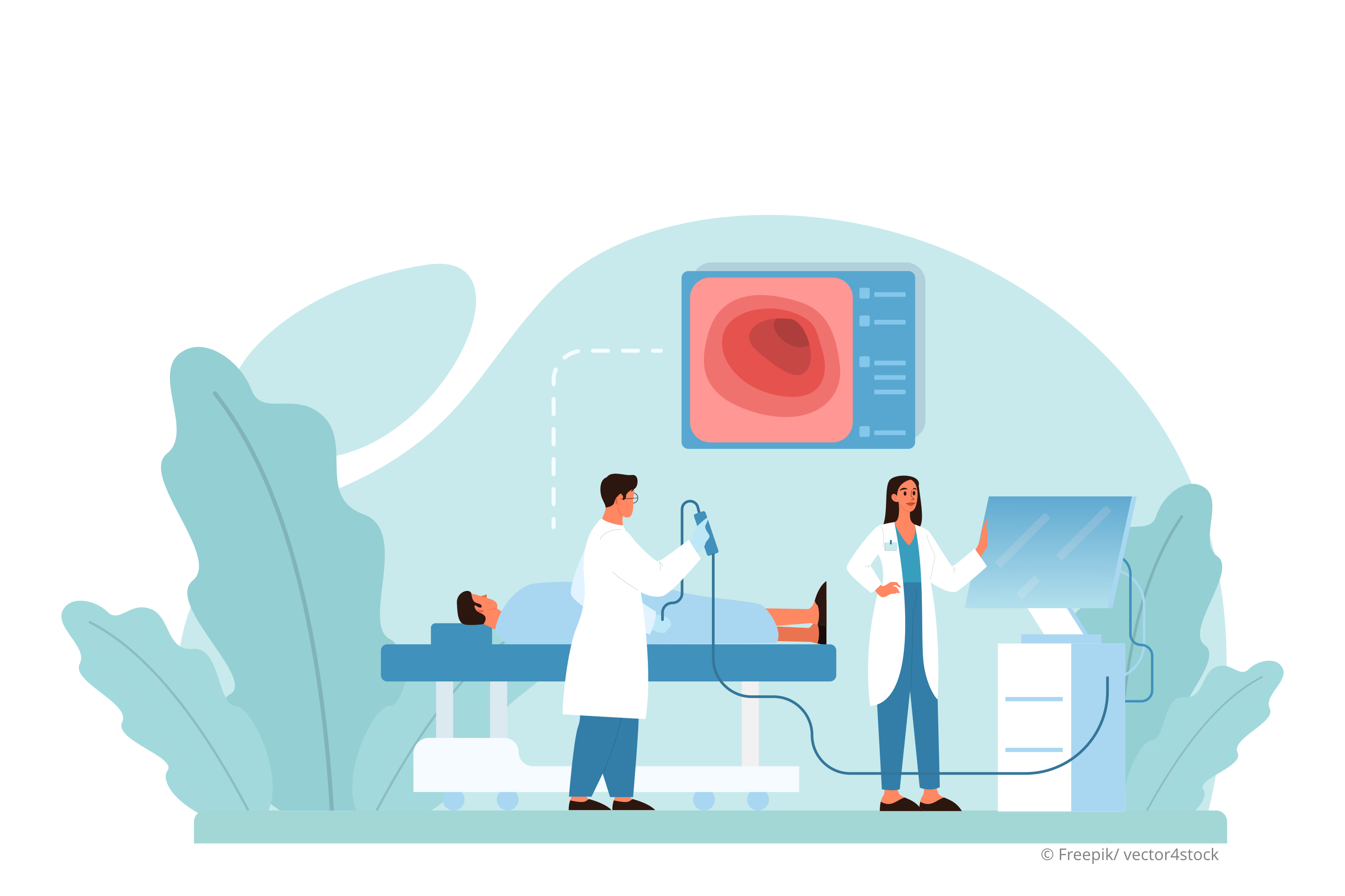 Next Generation Endoscopy - Else Kröner Fresenius Center for Digital Health